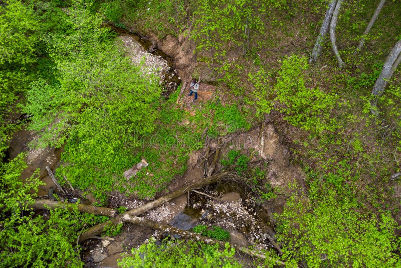 Aerial View of a Ravine in a Green Forest Area Stock Image - Image of ...