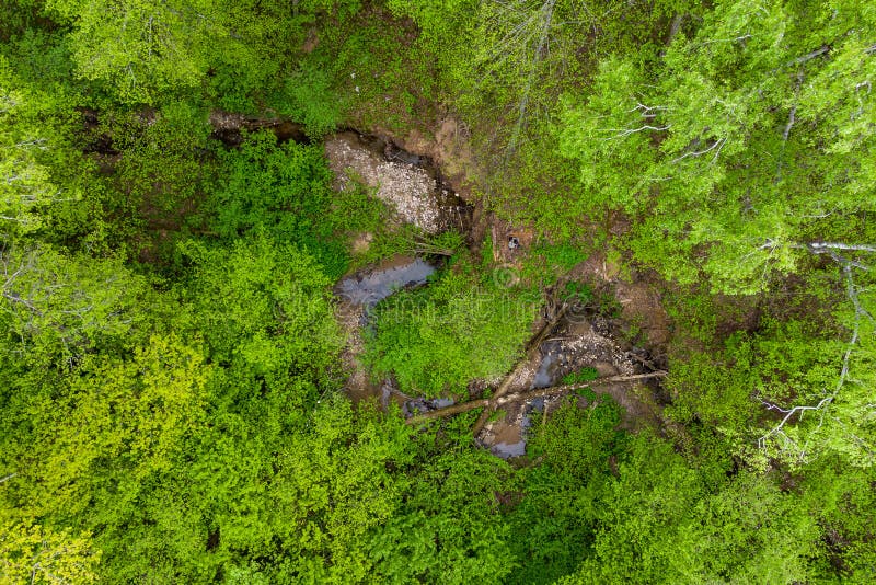 Aerial View of a Ravine in a Green Forest Area Stock Image - Image of ...
