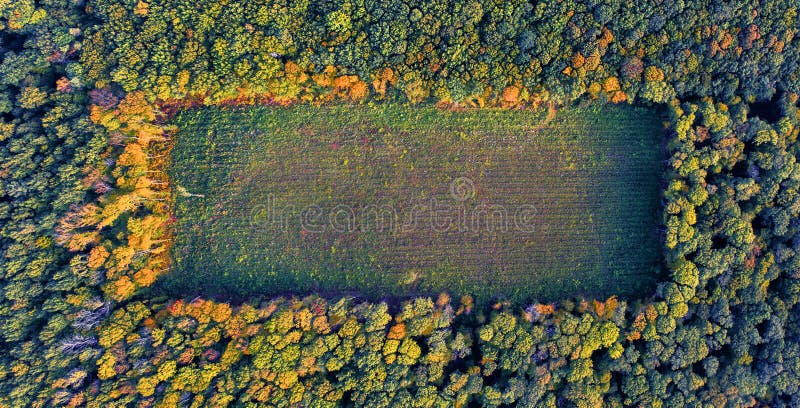 Aerial View of Rectangular Shaped Deforested Area Stock Photo - Image ...