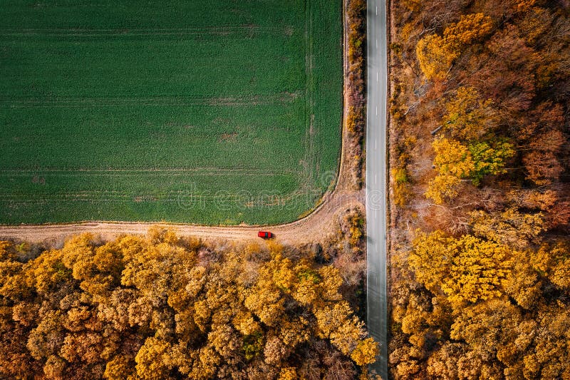 Aerial View of Red Car by Road in Forest Stock Photo - Image of view ...