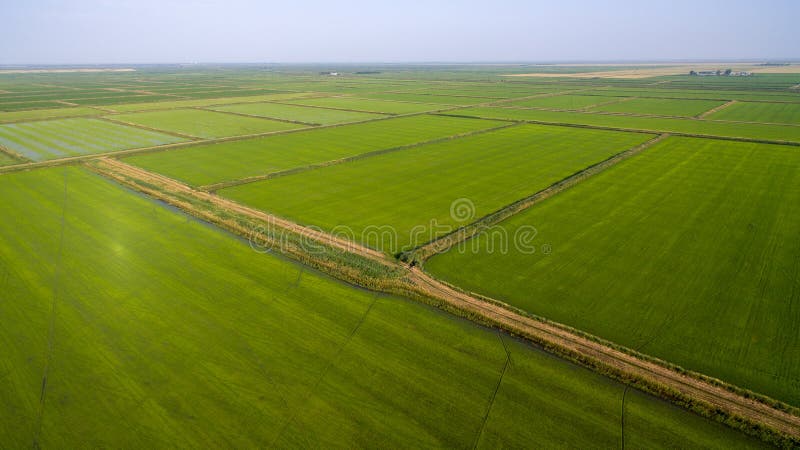 Aerial View of Rice Fields in Russia Stock Photo - Image of krasnodar ...