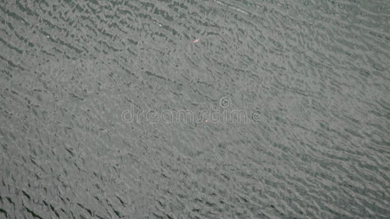 Aerial View. Ripples from the Wind on the Water Stock Video - Video of ...