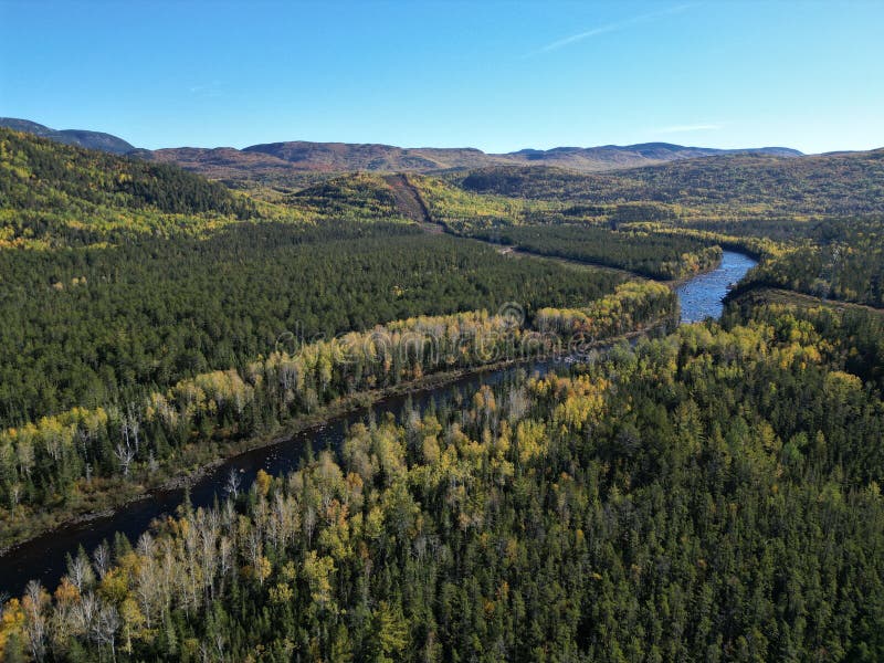 Aerial View of a River Across the Forest with Pine Trees Stock Photo ...
