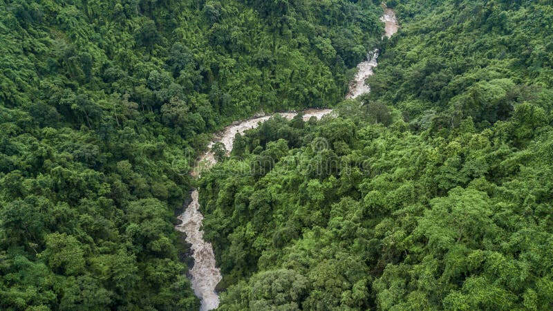Aerial View River Flowing in the Forest, River in Tropical Rainforest ...