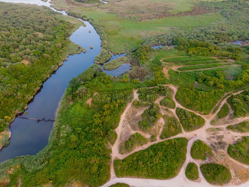 Aerial View of a River Flowing through Lush Green Vegetation Stock ...