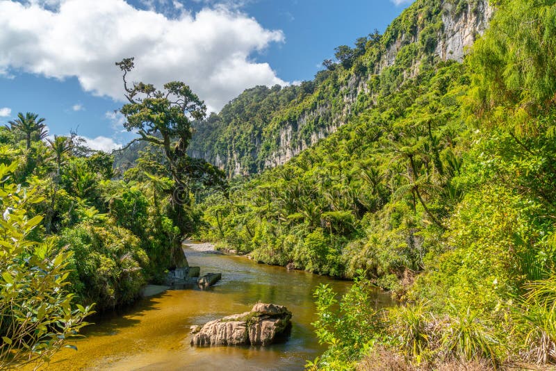 Aerial View of River Surrounded Greenery Mountains and Dense Trees ...