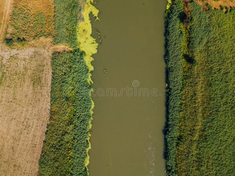 Aerial View of the River, Top View Stock Image - Image of environment ...