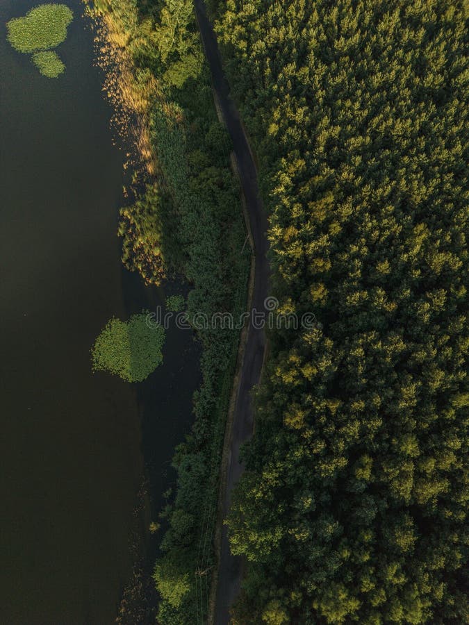 Aerial View of a Road Along a River with Lush Green Vegetation Stock ...