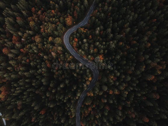 Aerial View of a Road through Forest Stock Photo - Image of forest ...