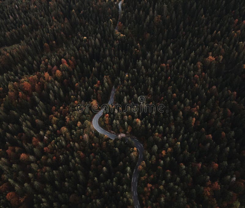 Aerial View of a Road through Forest Stock Photo - Image of road, view ...
