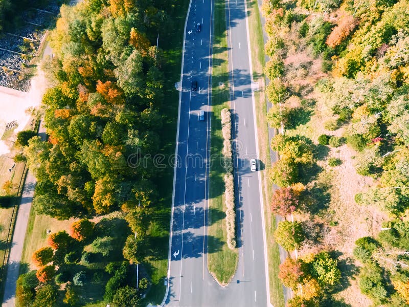 Aerial View of the Road between Green Trees Stock Photo - Image of ...