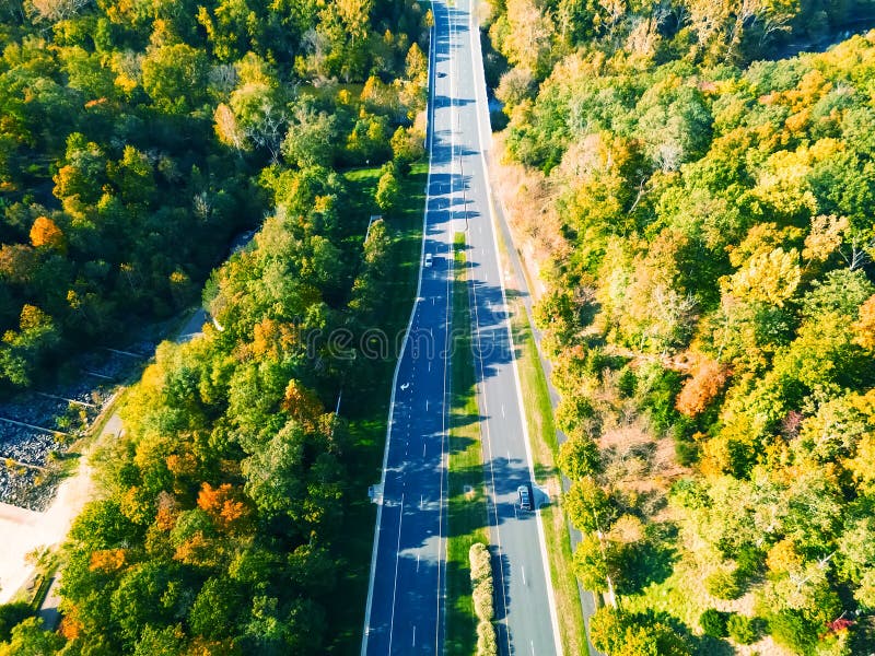 Aerial View of the Road between Green Trees Stock Photo - Image of ...
