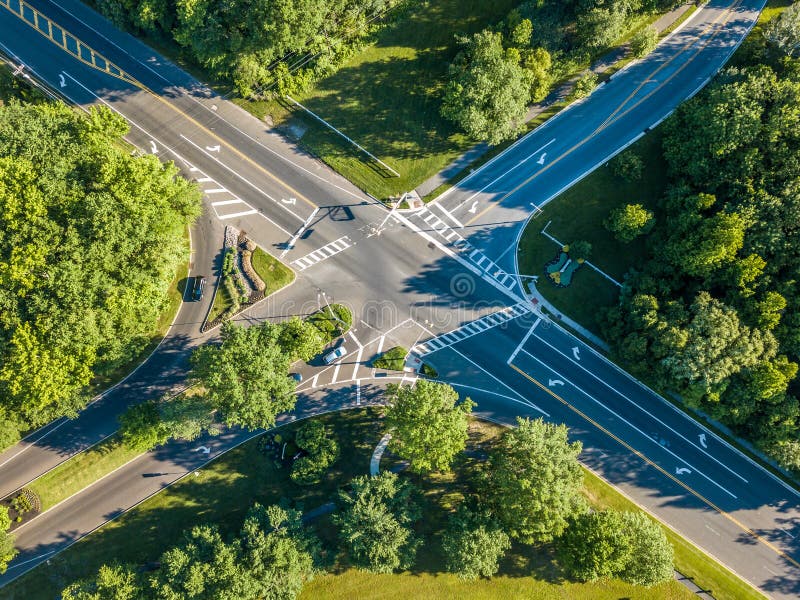 Road in the forest stock photo. Image of crossroads - 119999114
