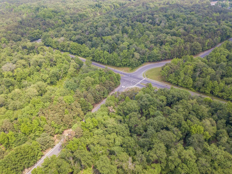 Road in the forest stock photo. Image of lane, nature - 118208702