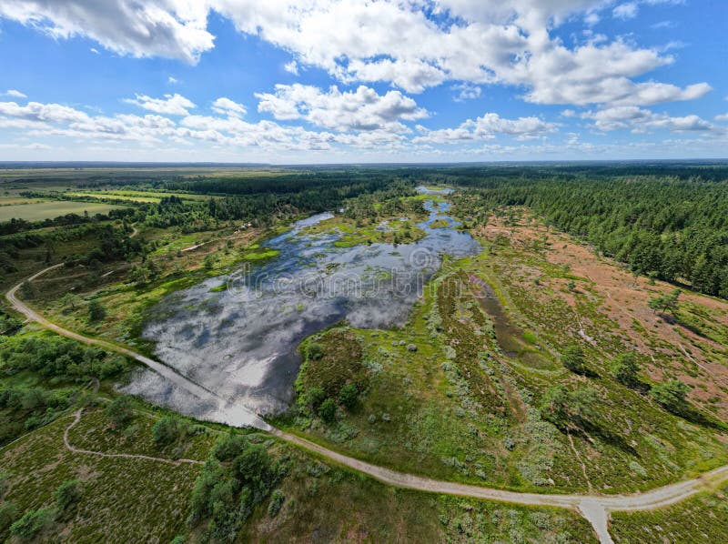 Aerial View of a Road Passing through the Pond and Trees of Wilderness ...