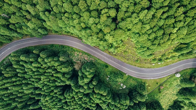 Aerial View or Road Surrounded by Dense Trees Stock Image - Image of ...