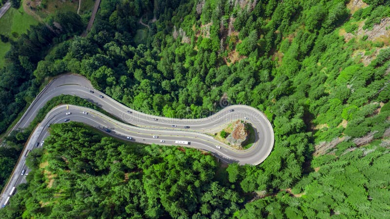 Aerial View of Road Surrounded by Dense Trees Stock Image - Image of ...