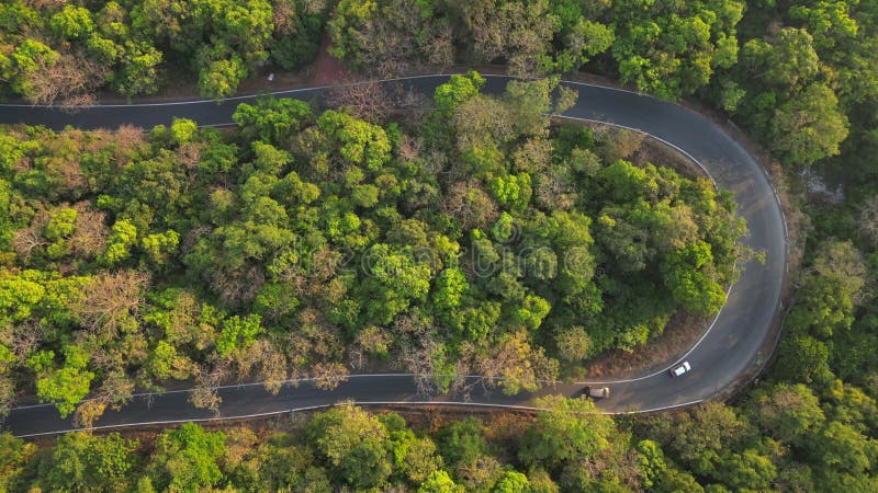 Aerial View of a Road in Tropical Forest Palm Trees Around Stock Video ...