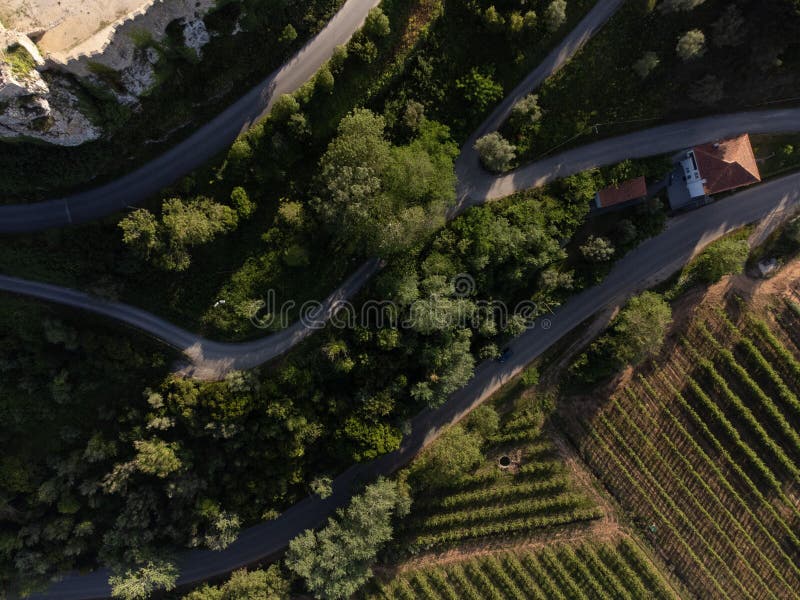 Aerial View or Roads Surrounded by Dense Trees Stock Photo - Image of ...