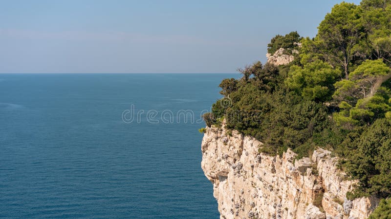 Aerial View of Rocky Beach with Trees in Dugi Otok, Telascica, Croatia ... Aerial View of Rocky Beach with Trees in Dugi Otok, Telascica, Croatia ...