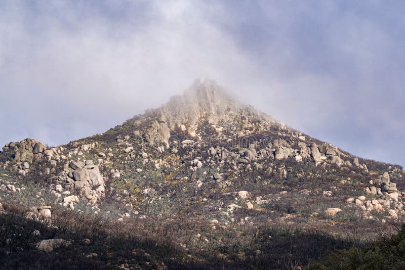 Aerial View of Rocky Mountain with Dense Trees Stock Image - Image of ...