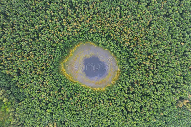 Aerial View of Round Shaped Pond in Autumn Forest Stock Image - Image ...