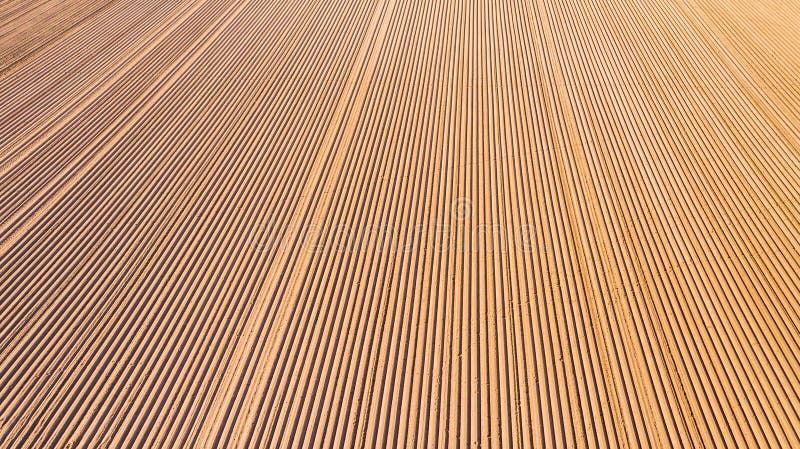 Aerial View, Rows of Soil before Planting,row Pattern in a Plowed Field ...