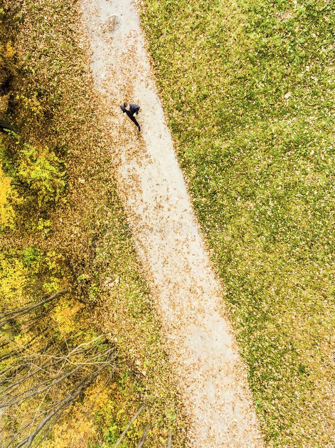 Aerial View of a Runner Running through Autumn Park on Jogging Path ...