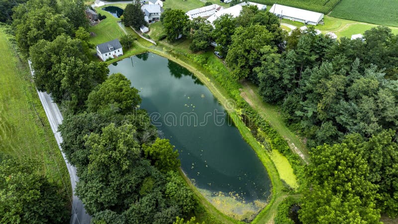 Aerial View of a Rural Farm with Pond and Trees Stock Photo - Image of ...