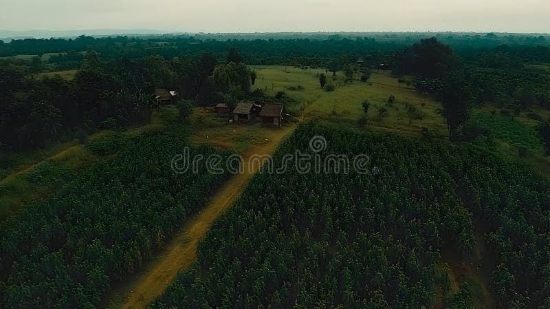 Aerial View of Rural Farmland with Fields and Structures Stock ...