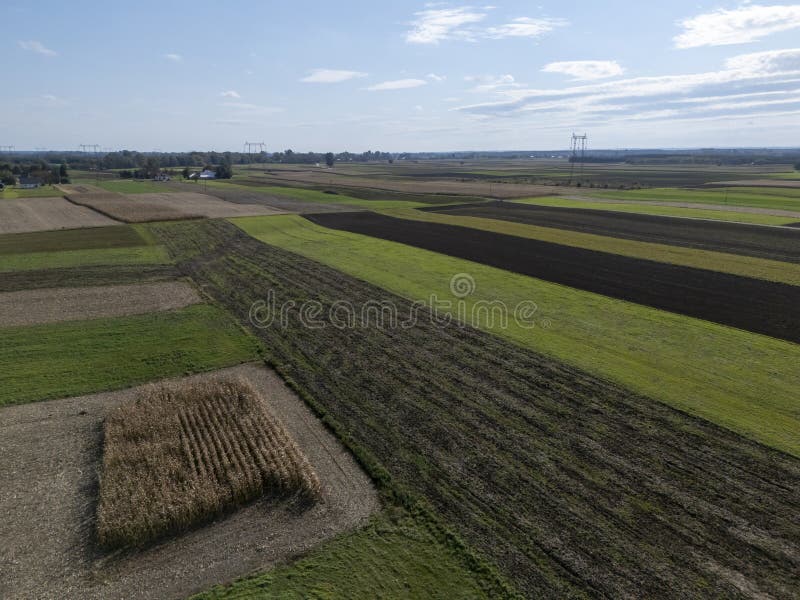 Aerial View of Rural Fields Showcasing Different Crop Patterns and ...