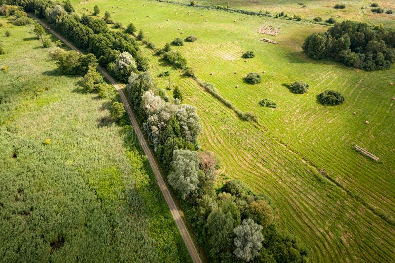 Aerial View of a Rural Path with Green Fields and Trees Stock Image ...