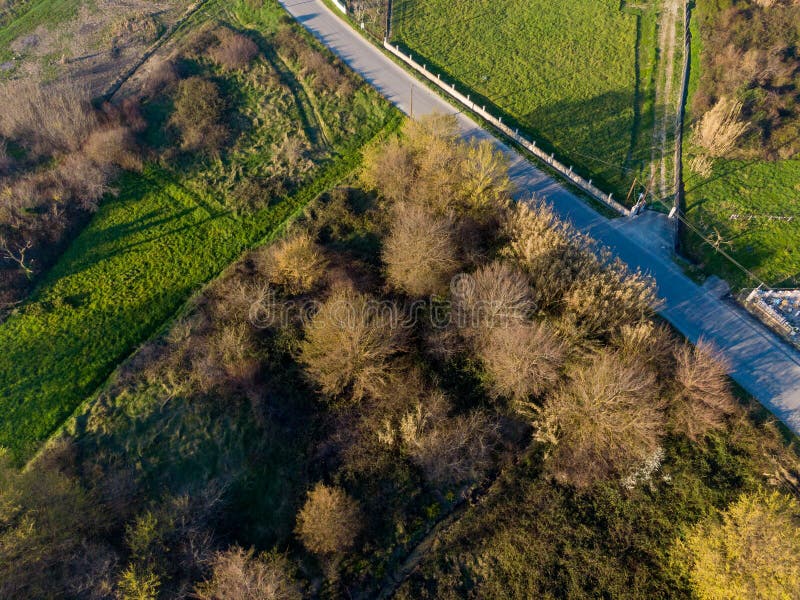 Aerial View of a Rural Road Intersection, Surrounded by Fields and ...