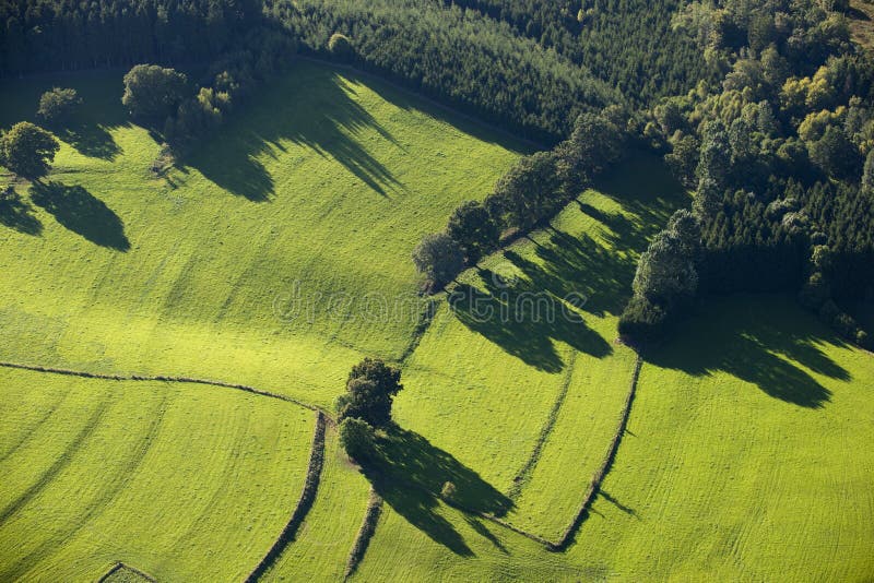 Aerial view of Chicago stock photo. Image of metro, american - 9487450