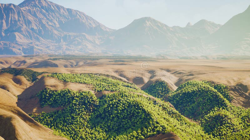 Aerial View of the Sahara Desert Stock Image - Image of park, brown ...