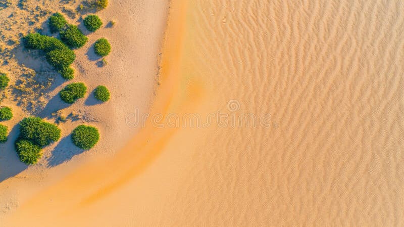 Aerial View of Sandy Desert with Greenery and Wind Patterns in Sand ...
