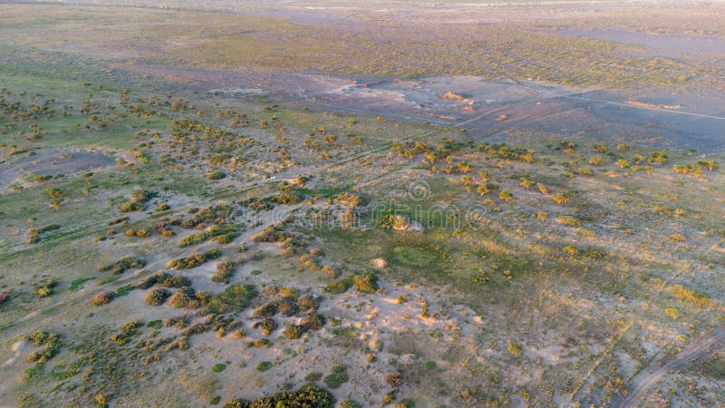 Aerial View of a Sandy Landscape with Plants Stock Photo - Image of ...