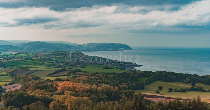 Aerial View of Sea with Greenery Beach Stock Photo - Image of clear ...