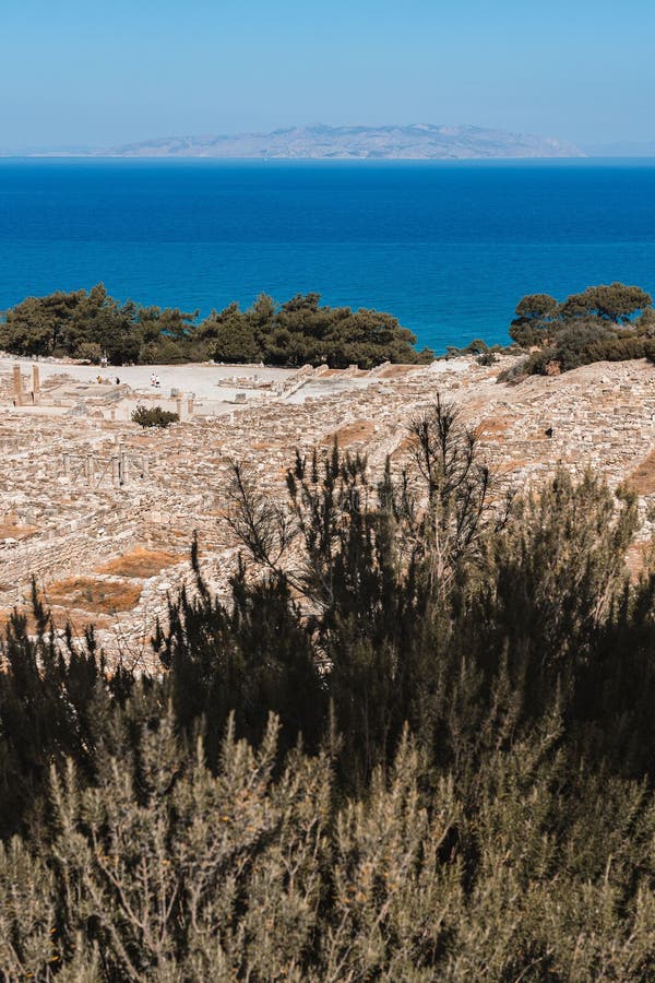 Aerial View of Sea with Greenery Beach Stock Photo - Image of blossom ...