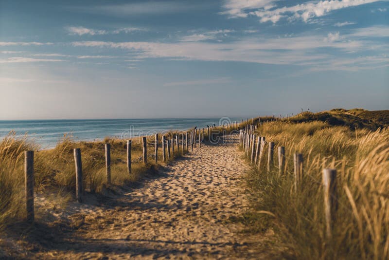 Aerial View of Sea with Greenery Beach Stock Image - Image of beach ...