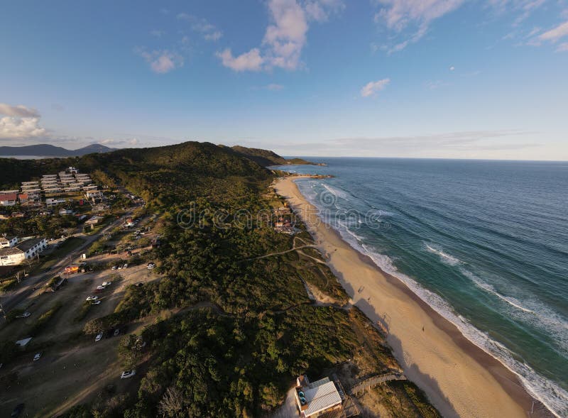 Aerial View of Sea Waves Breaking Greenery Beach Stock Image - Image of ...