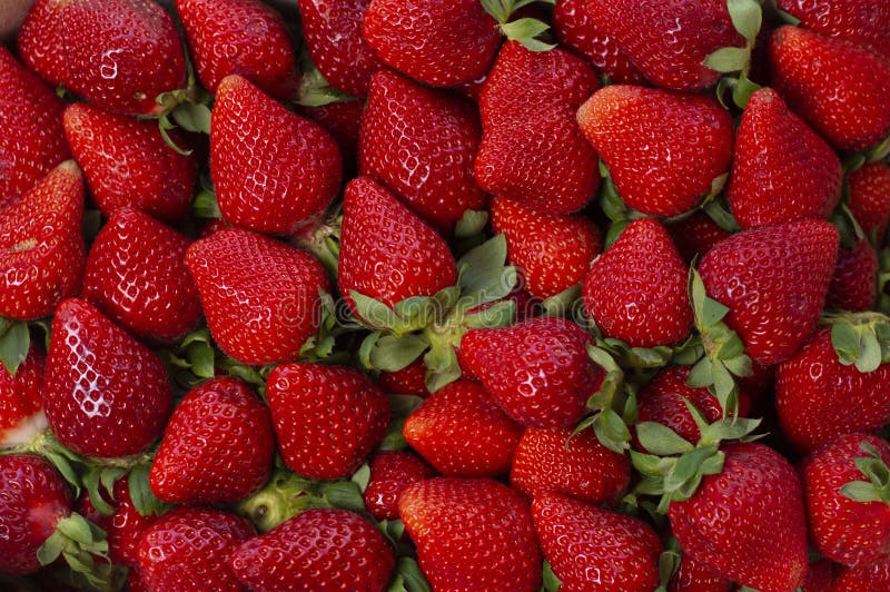 Aerial View of Set of Freshly Picked Strawberries - Image Stock Photo ...
