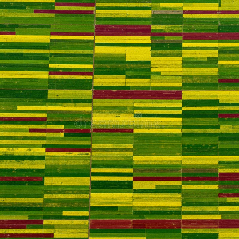 Aerial View Showcasing an Array of Rectangular Agricultural Fields in ...