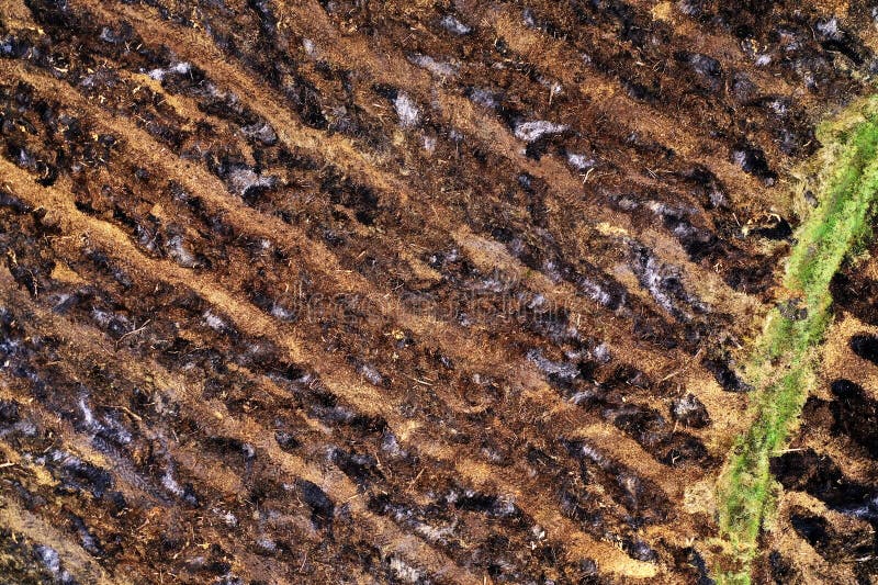 Aerial View Showing Deforestation Progress with Tree Line Stock Image ...