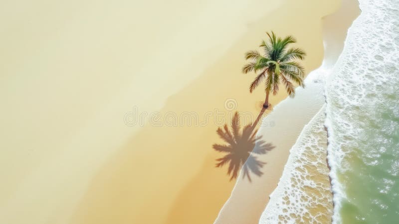 Single Palm Tree Casting Shadow on Empty Beach. AI Generation Stock ...