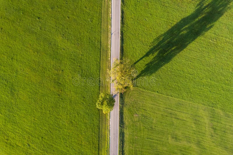 Aerial View of Single Tree by the Rural Road in Germany Stock Image ...