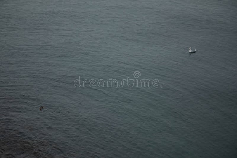 Aerial View of a Small Boat on Water Stock Image - Image of recreation ...