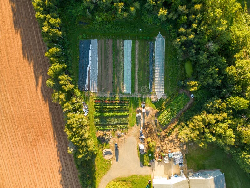Aerial View of a Small Plot of Crops on a Fruit and Vegetable Farm in ...