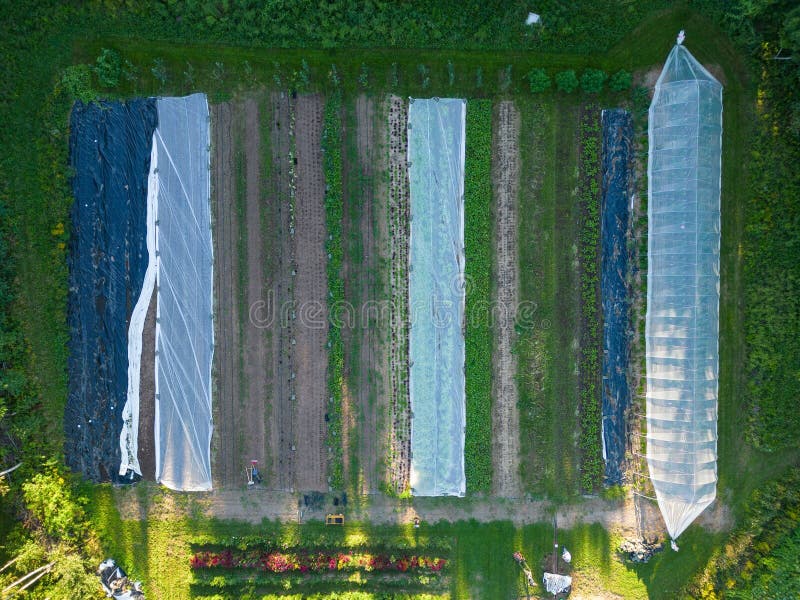 Aerial View of a Small Plot of Crops on a Fruit and Vegetable Farm in ...