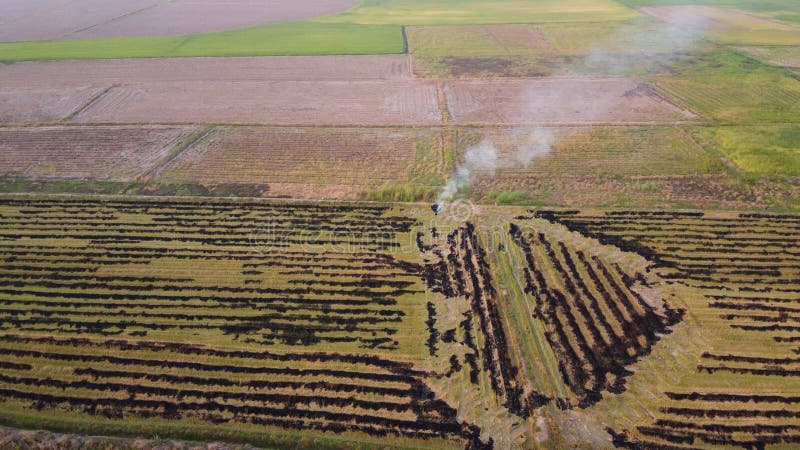 Aerial View of the Smoke from Burning Rice Fields, Air Pollution, Dust ...